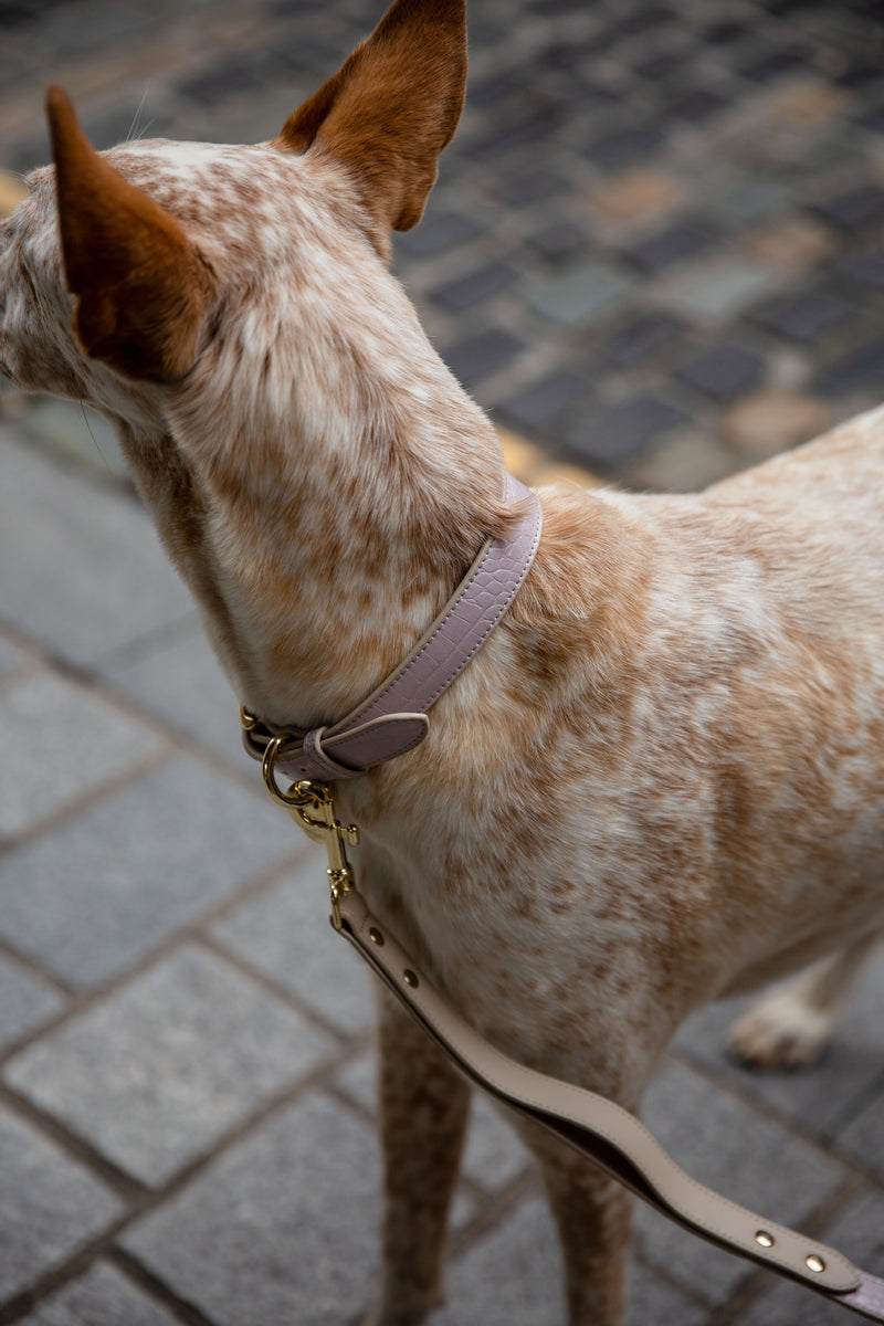 Nina Woof - Premium Vegan Pet Accessories - Milan