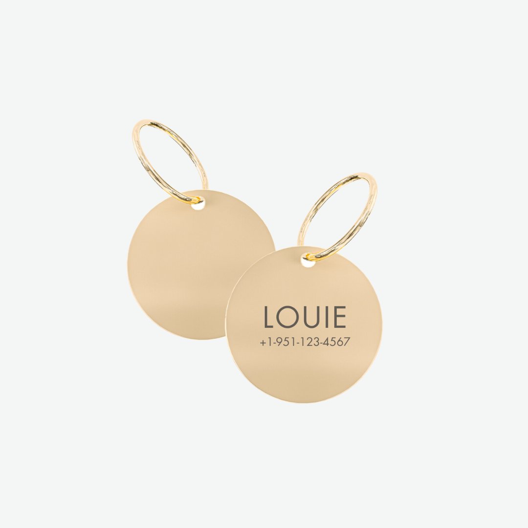 Personalized Dog Tag– Nina Woof